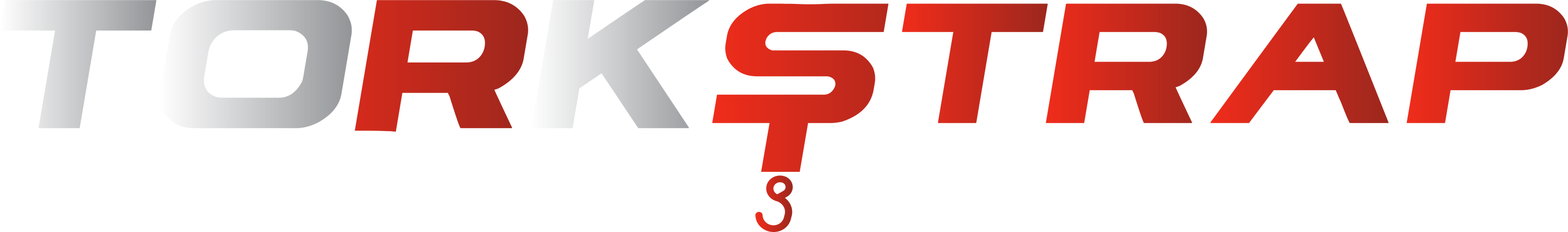 TorkStrap - Tie Down Cargo Straps